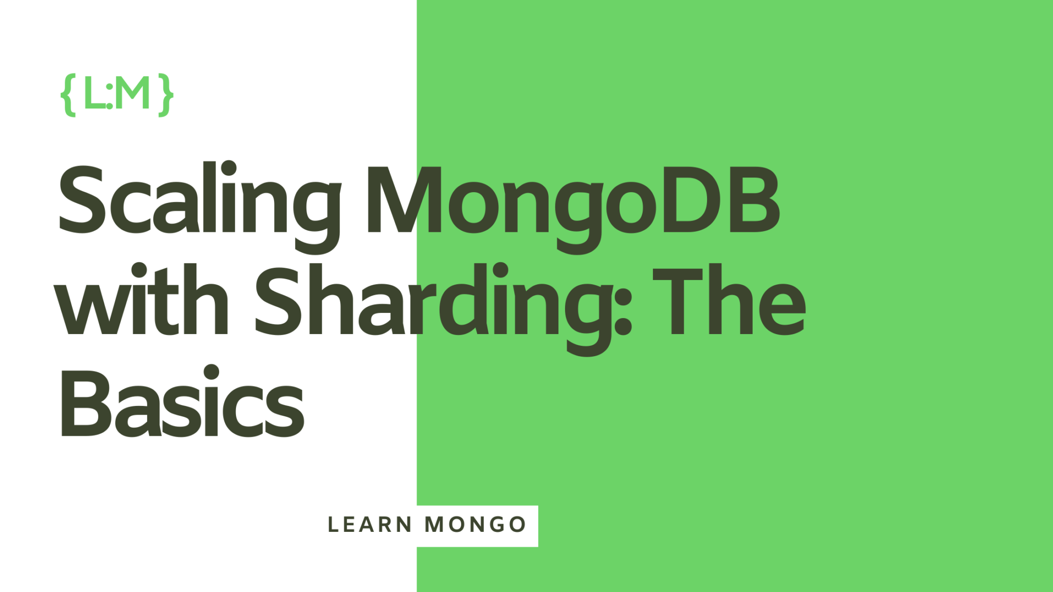 Learn Mongo – Learn MongoDB