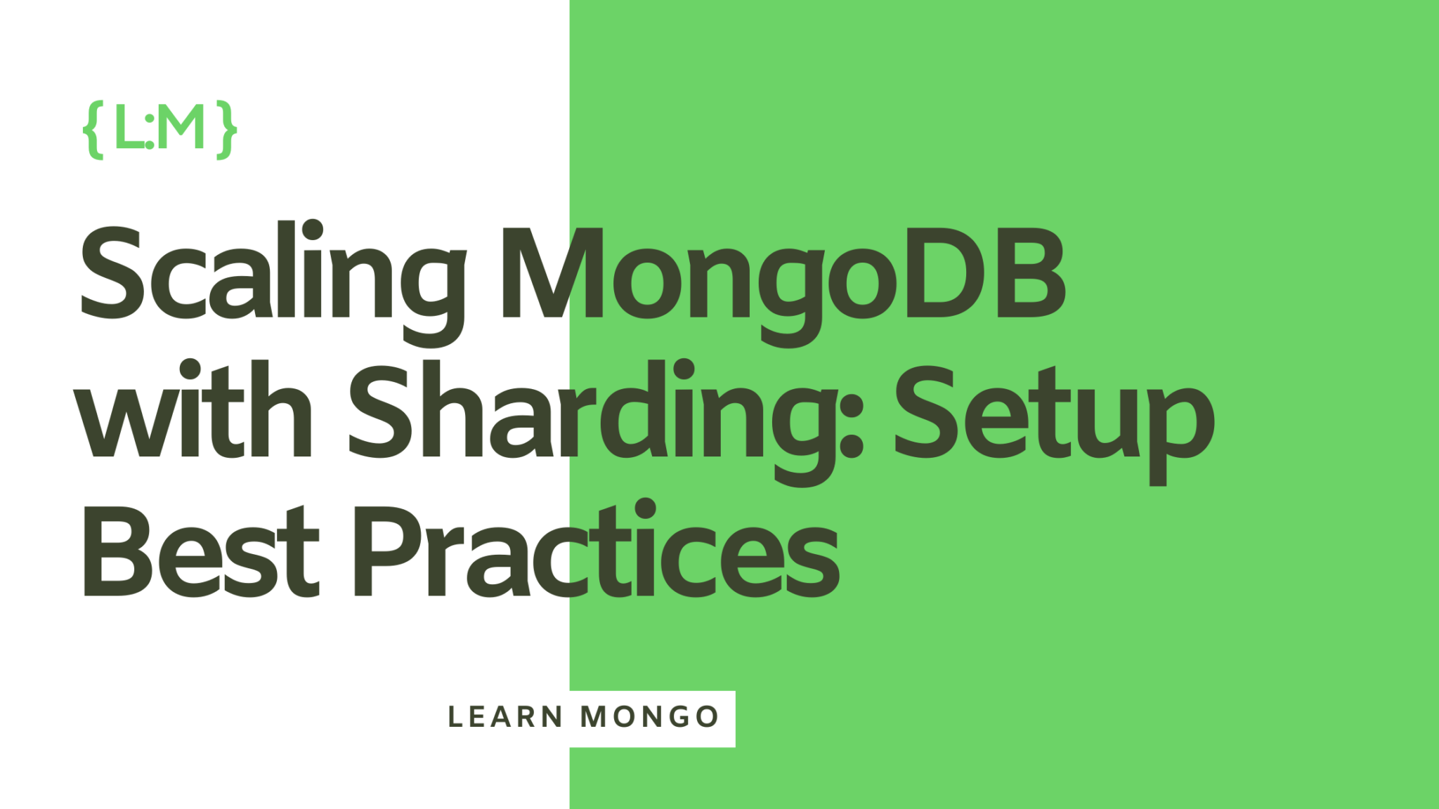 Learn Mongo – Learn MongoDB